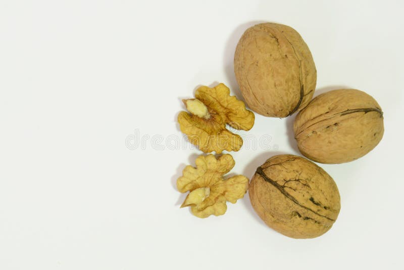 Walnut on White Background Closeup. Healthy Food Stock Photo - Image of ...