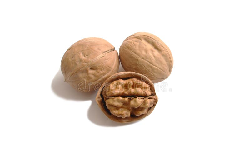 Walnut on White Background Isolate Stock Image - Image of isolate ...