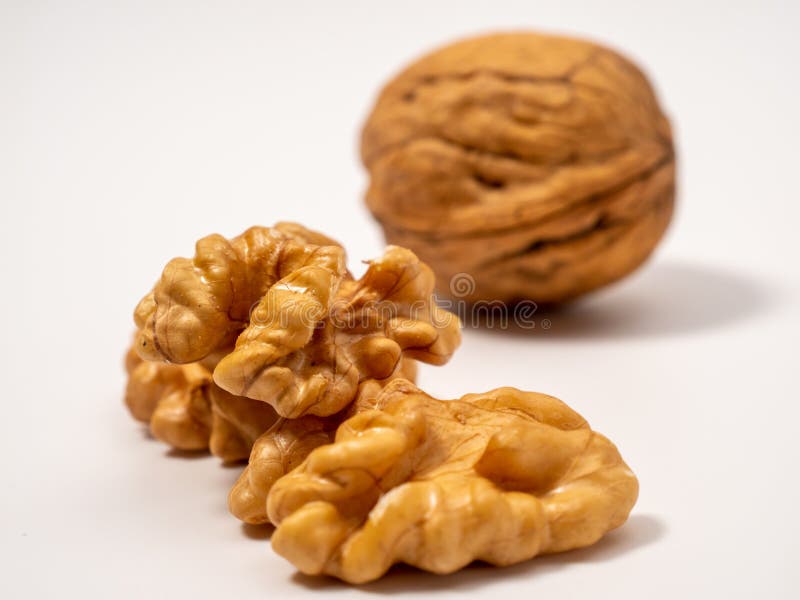 Walnut on a White Background. Raw Walnut Stock Photo - Image of seed ...