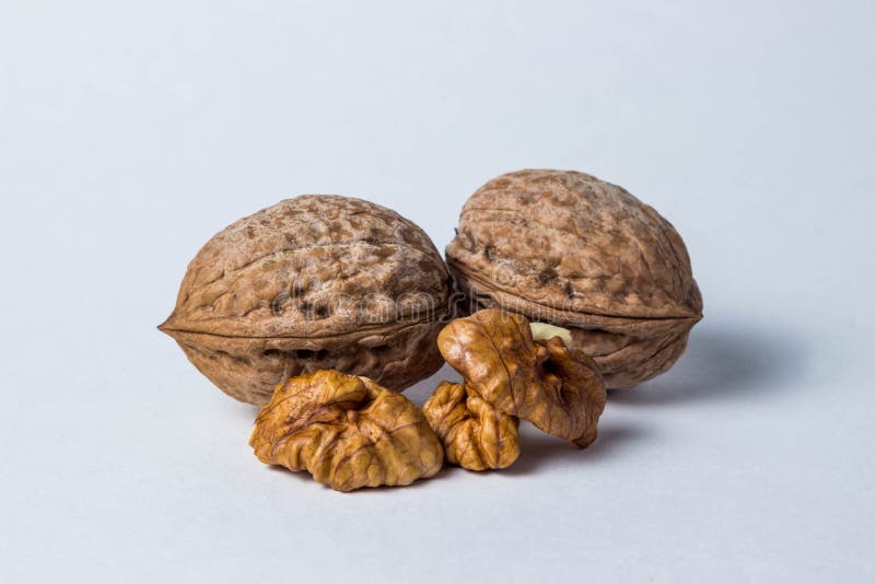 Walnut on a White Background Stock Photo - Image of organic, white ...