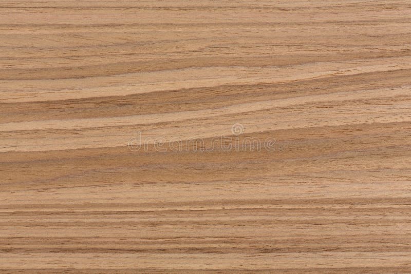 Walnut Wood Texture on Macro. Stock Photo - Image of material, detail ...