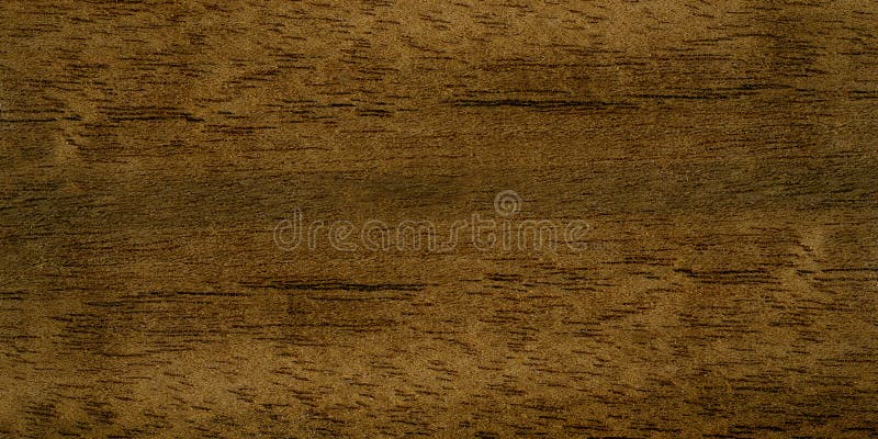 Walnut Wood Style Pattern and Texture Stock Image - Image of trees ...