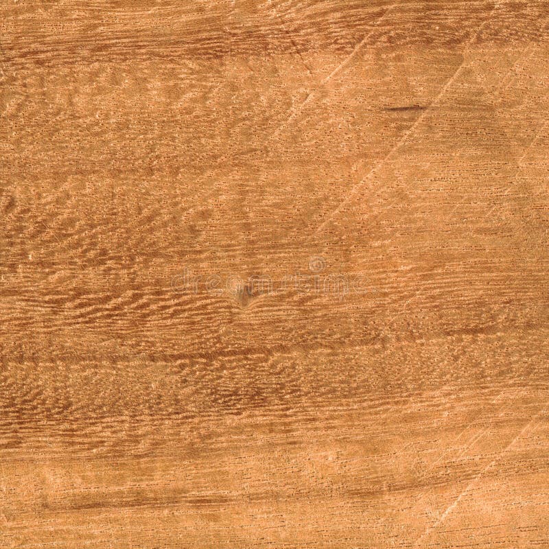 Walnut Wood Texture, Can Be Used As Background, Wood Grain Texture ...