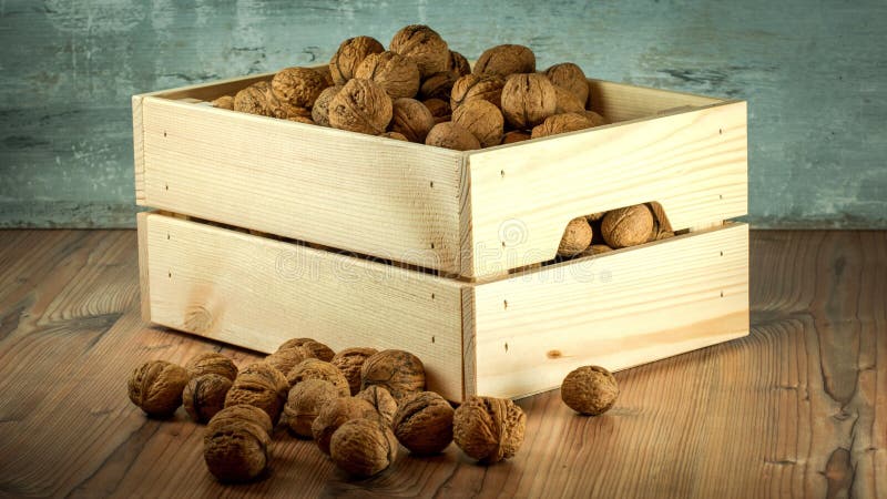 Walnut, Wood, Tree Nuts, Nut Picture. Image: 91631410