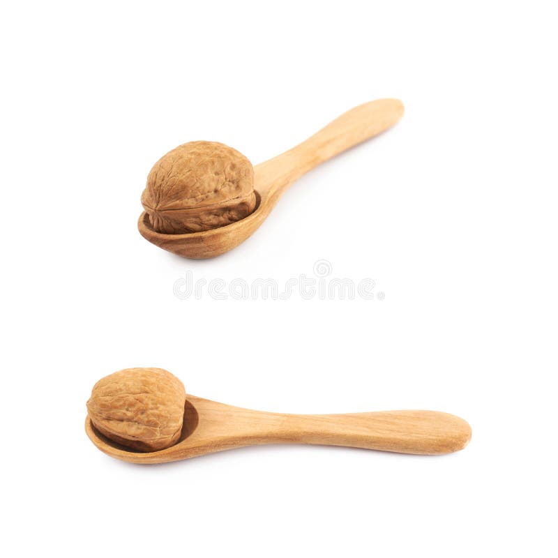 Walnut in a Wooden Spoon Isolated Stock Photo - Image of delicious ...