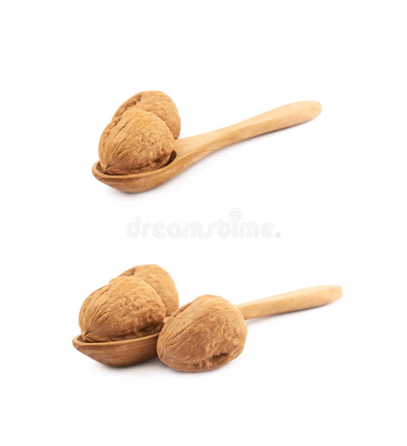 Walnut in a Wooden Spoon Isolated Stock Image - Image of isolate ...