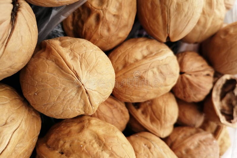 Walnut Yummy 5 stock image. Image of yummy, eating, walnut - 156483333