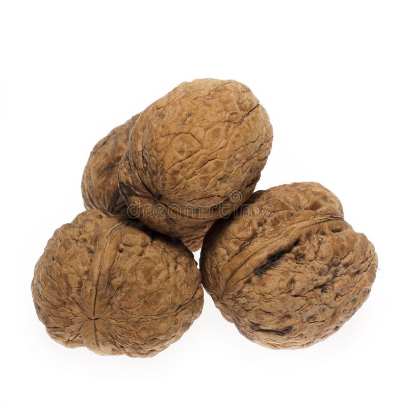 Walnuts stock image. Image of food, objects, detached - 10254459