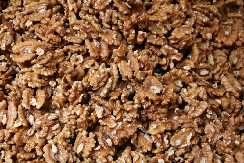 Walnuts stock image. Image of layer, walnuts, number - 10965493
