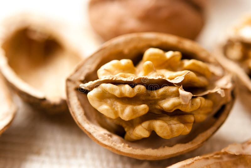 Walnuts stock image. Image of food, nuts, close, fruit - 11595209