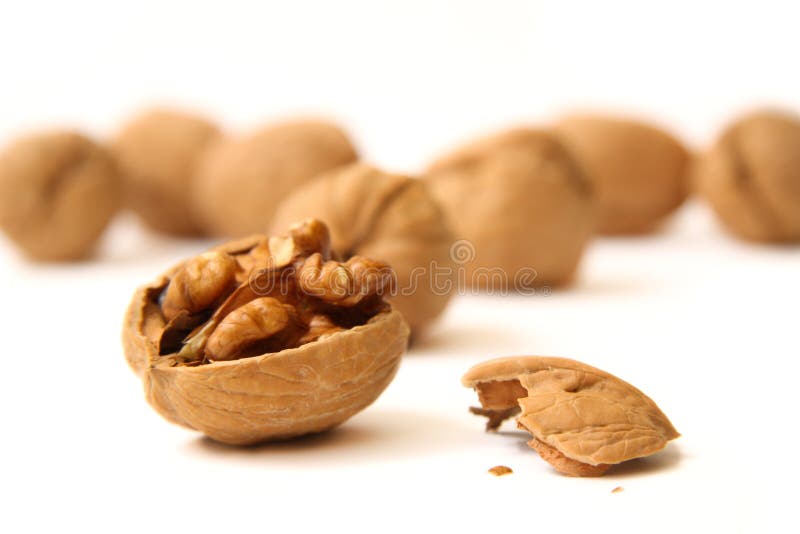 Walnut stock image. Image of yellow, walnut, macro, shelled - 13634665