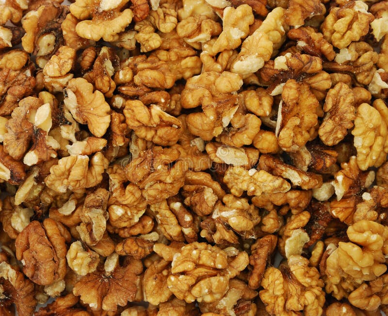 Walnuts stock photo. Image of natural, open, seasonal - 16498484
