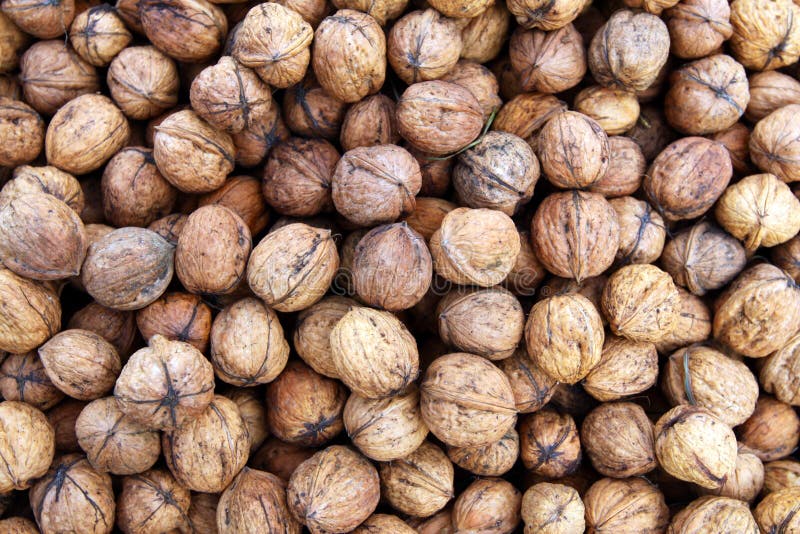 Walnuts stock image. Image of agricultural, farming, crunchy - 21463955