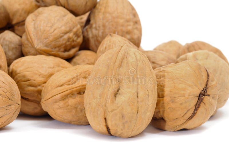 Walnuts stock image. Image of healthy, health, lunch - 22448819