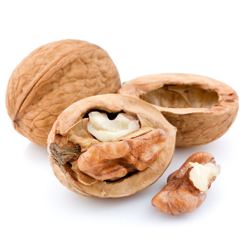 Walnuts stock photo. Image of fruit, food, walnuts, nuts - 1127950