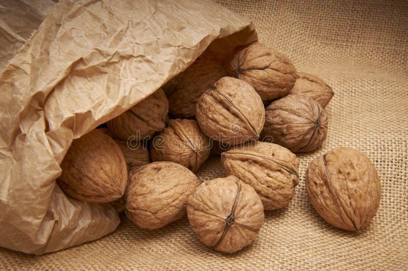 Walnuts stock image. Image of food, paper, shell, natural - 26403827