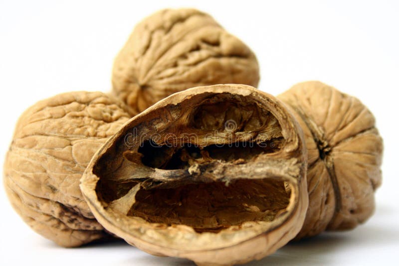 Walnuts stock image. Image of furrowed, food, yellow, round - 3475933