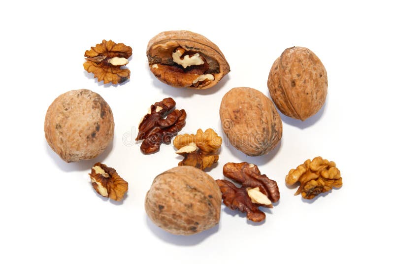 A walnuts. stock image. Image of objects, healthy, full - 6044119