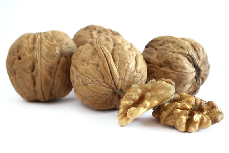 Walnut stock image. Image of yellow, walnut, macro, shelled - 13634665