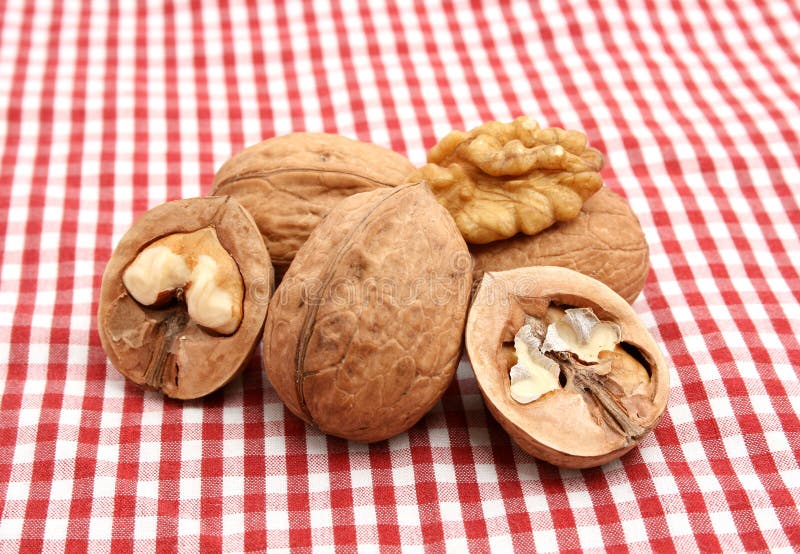 Walnuts stock image. Image of fruit, fresh, walnuts, walnut - 7560921