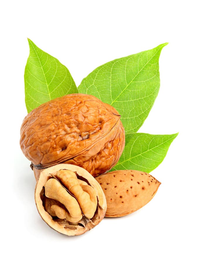 Walnuts and Almond with Leaves. Stock Photo - Image of backgrounds ...