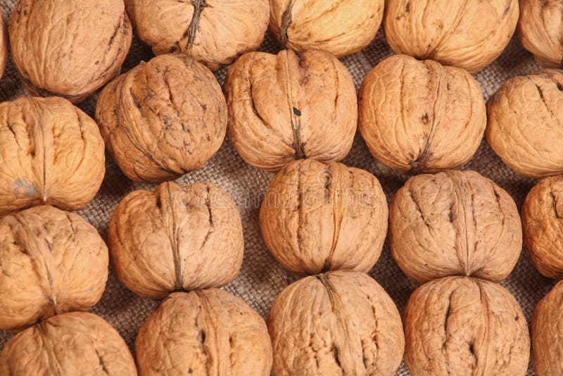 Walnuts Background Picture. Image: 3363586