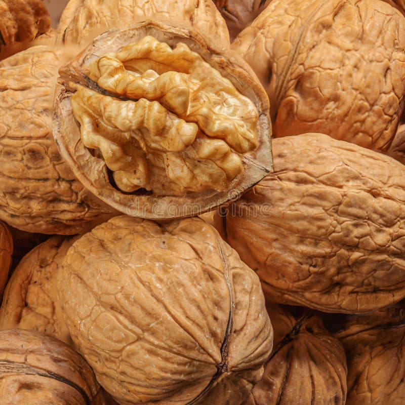 Walnuts Background. Fresh Walnuts As a Wallpaper, Poster Stock Image ...