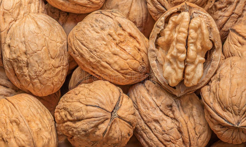 Walnuts Background. Fresh Walnuts As a Wallpaper, Poster Stock Image ...
