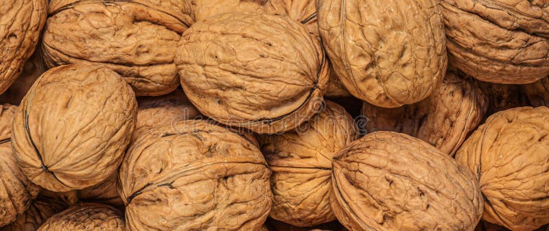 Walnuts Background. Fresh Walnuts As a Wallpaper, Poster Stock Image ...