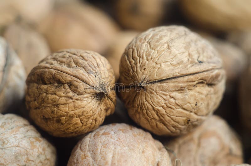 Walnuts Background. Group Walnuts. Healthy Organic Food Concept Stock ...
