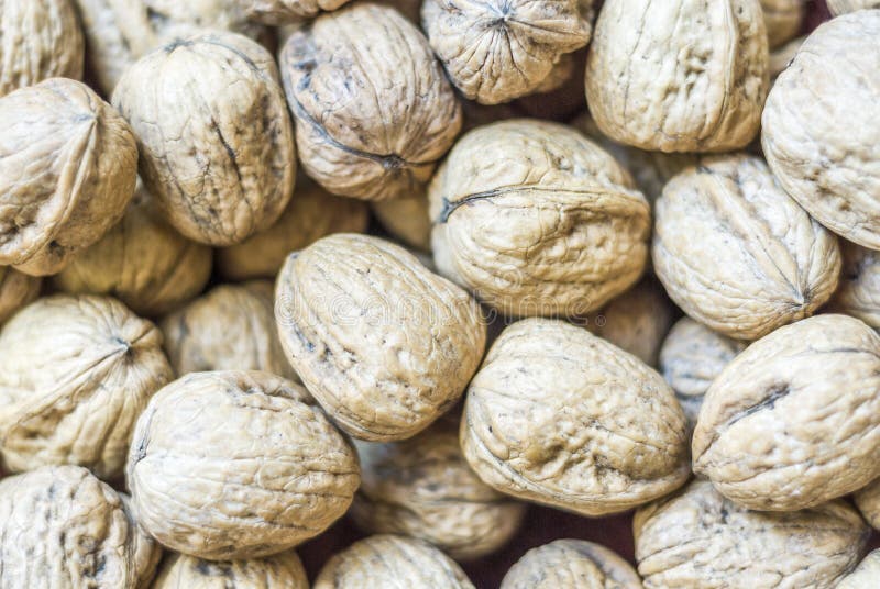 Walnuts stock image. Image of background, brown, walnut - 78459871