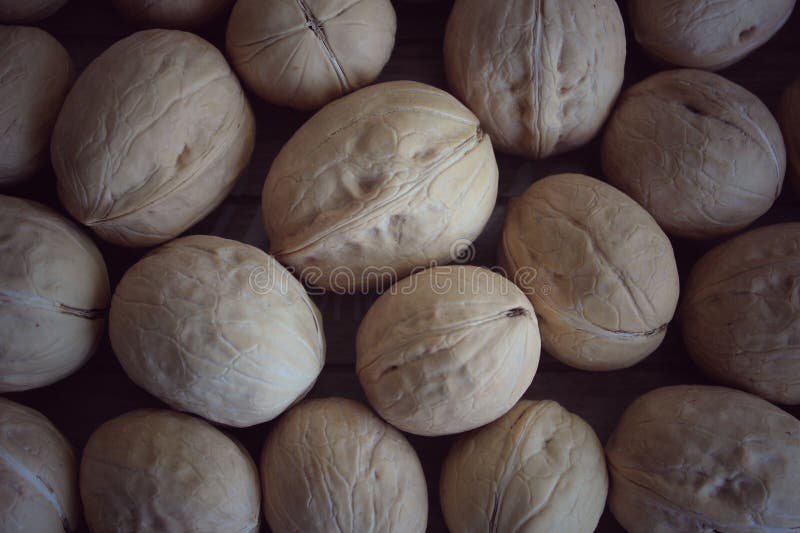 Walnuts Background Texture. Nature Abstract Background. Large Nuts ...