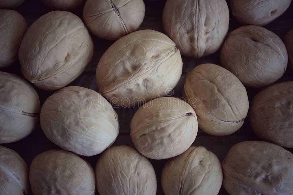 Walnuts Background Texture. Nature Abstract Background. Large Nuts ...