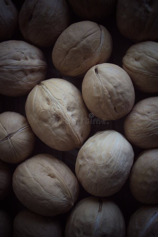 Walnuts Background Texture. Nature Abstract Background. Large Nuts ...