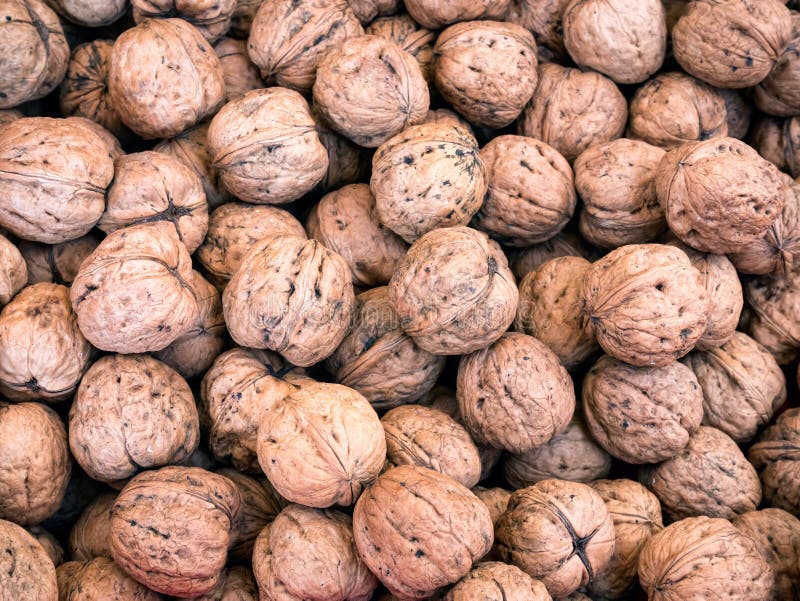 Walnuts in a big bunch stock image. Image of health, view - 86599595