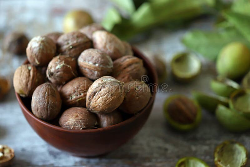 Walnuts in a Bowl. the Leaves of the Walnut Tree. Walnuts in a Green ...