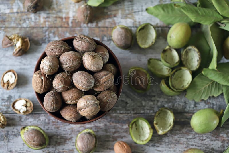 Walnuts in a Bowl. the Leaves of the Walnut Tree. Walnuts in a Green ...