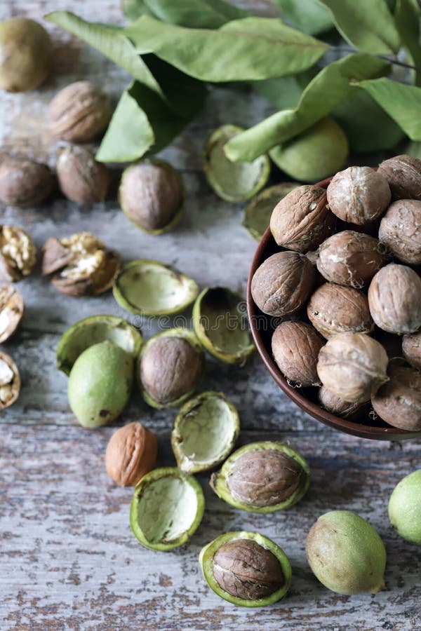 Walnuts in a Bowl. the Leaves of the Walnut Tree. Walnuts in a Green ...