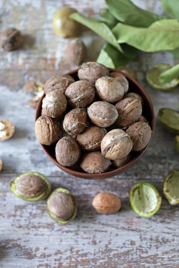 Walnuts in a Bowl. the Leaves of the Walnut Tree. Walnuts in a Green ...