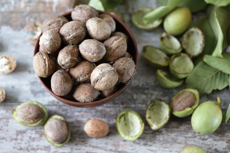 Walnuts in a Bowl. the Leaves of the Walnut Tree. Walnuts in a Green ...