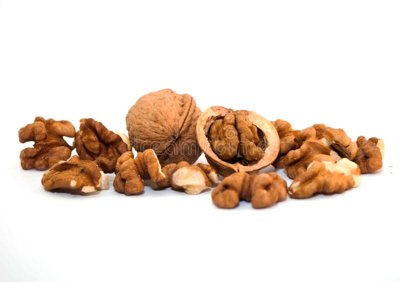 Walnuts stock image. Image of gourmet, good, isolated - 30382581