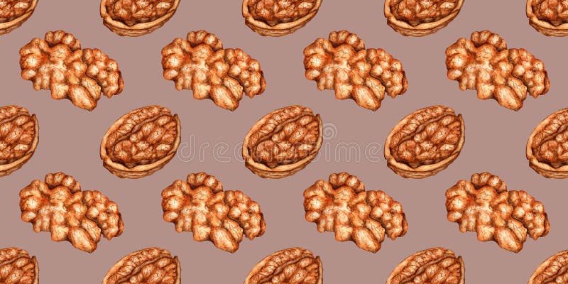 Walnuts Chopped and Kernels on a Brown Background in Watercolor Stock ...