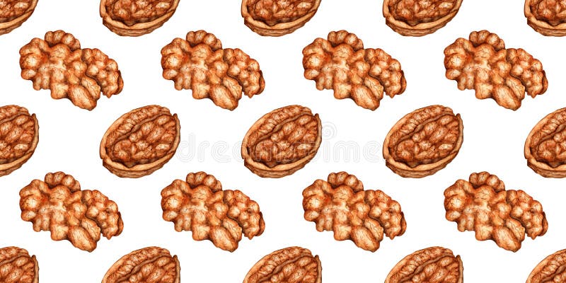 Walnuts Chopped and Kernels Pattern Watercolor Stock Illustration ...