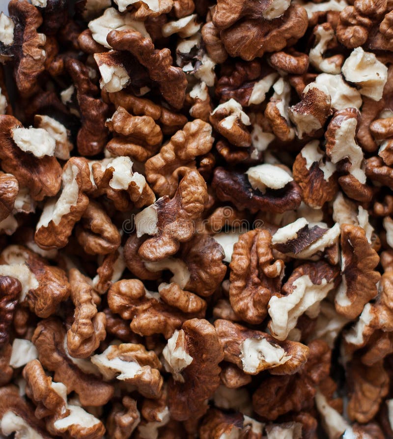 Walnuts stock image. Image of nuts, detail, nature, walnuts - 48557677