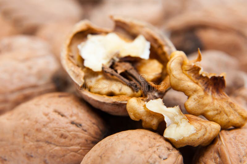 Walnuts and core stock image. Image of isolated, crop - 60413385