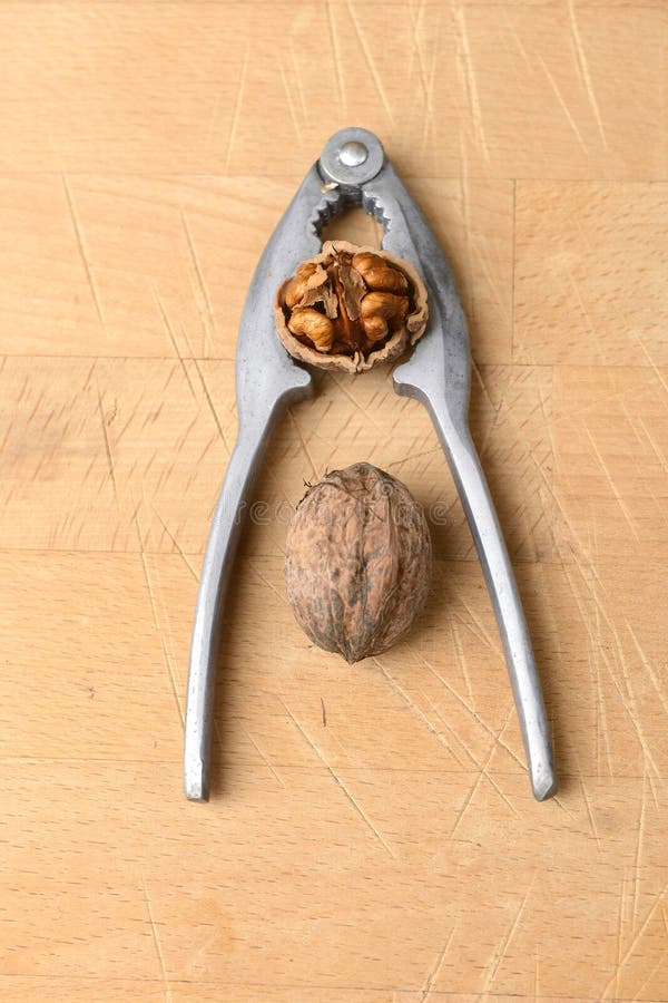 Walnuts Cracked Open with a Nut Cracker Stock Image - Image of healthy ...