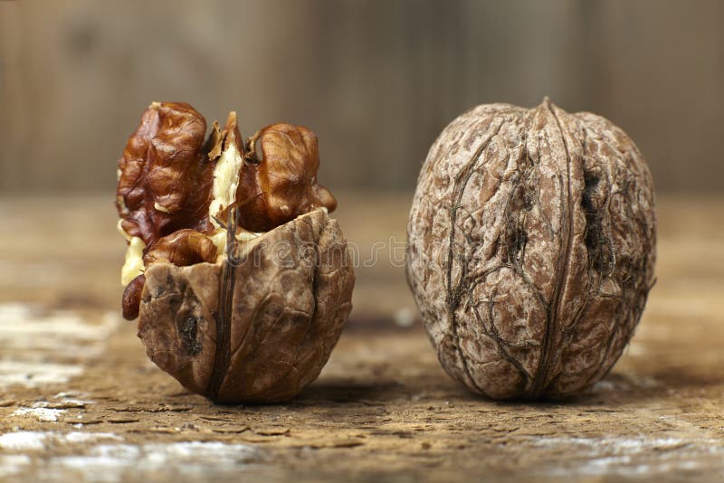 Walnuts Cracked Open with a Nut Cracker Stock Image - Image of healthy ...