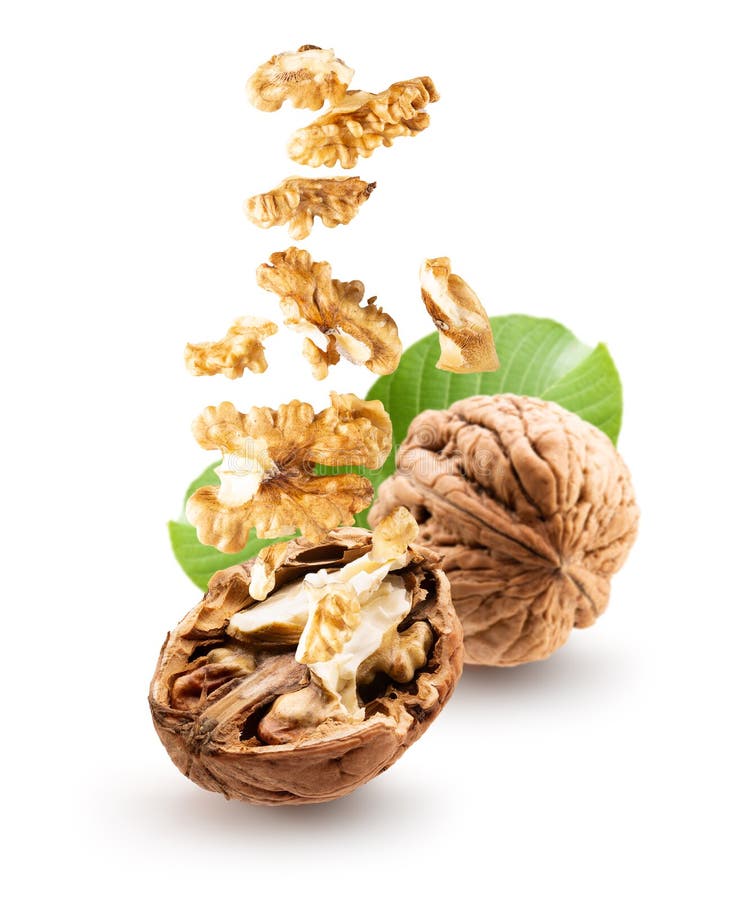 Walnuts with Falling Pieces and Leaves Isolated on a White Background ...