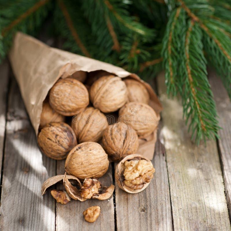 Walnuts stock image. Image of fall, season, walnut, advent - 35094851