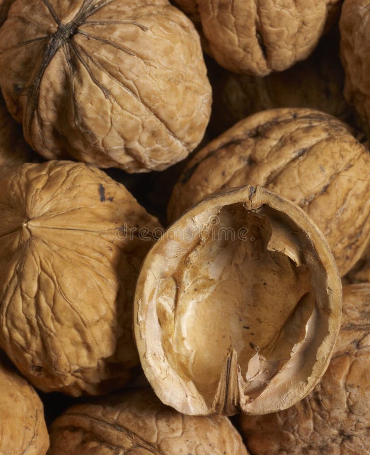 Walnuts stock photo. Image of background, brown, detail - 35922880
